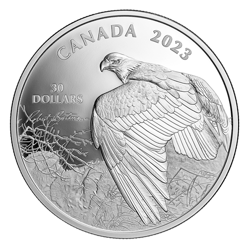 2 oz Fine Silver Coin - Vantage Point – Bald Eagle by Robert Bateman ...